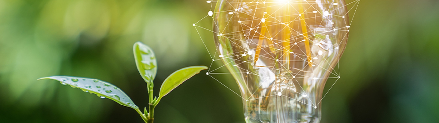 MV gets green technology with SF6-free | Schneider Electric Global